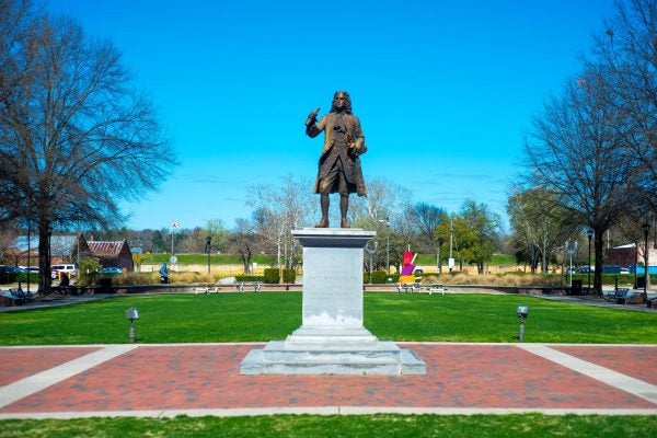 Augusta Commission changes course on city owned trees - The Augusta Press