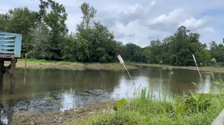 Savannah Riverkeeper Monitoring E. coli Levels at Betty's Branch - The ...