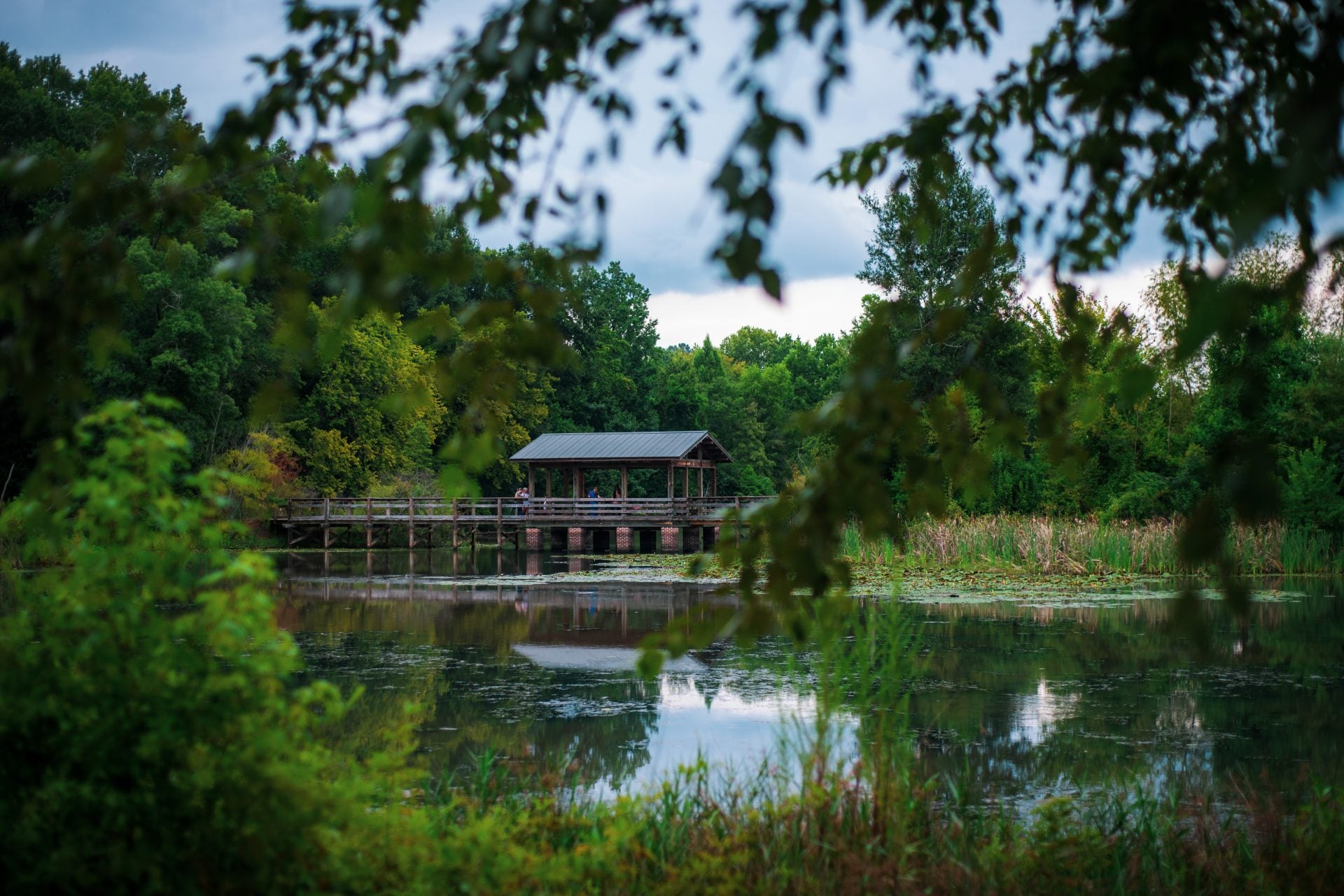 Photojournalism: Brick Pond Park Offers Scenic Space for Relaxing - The ...
