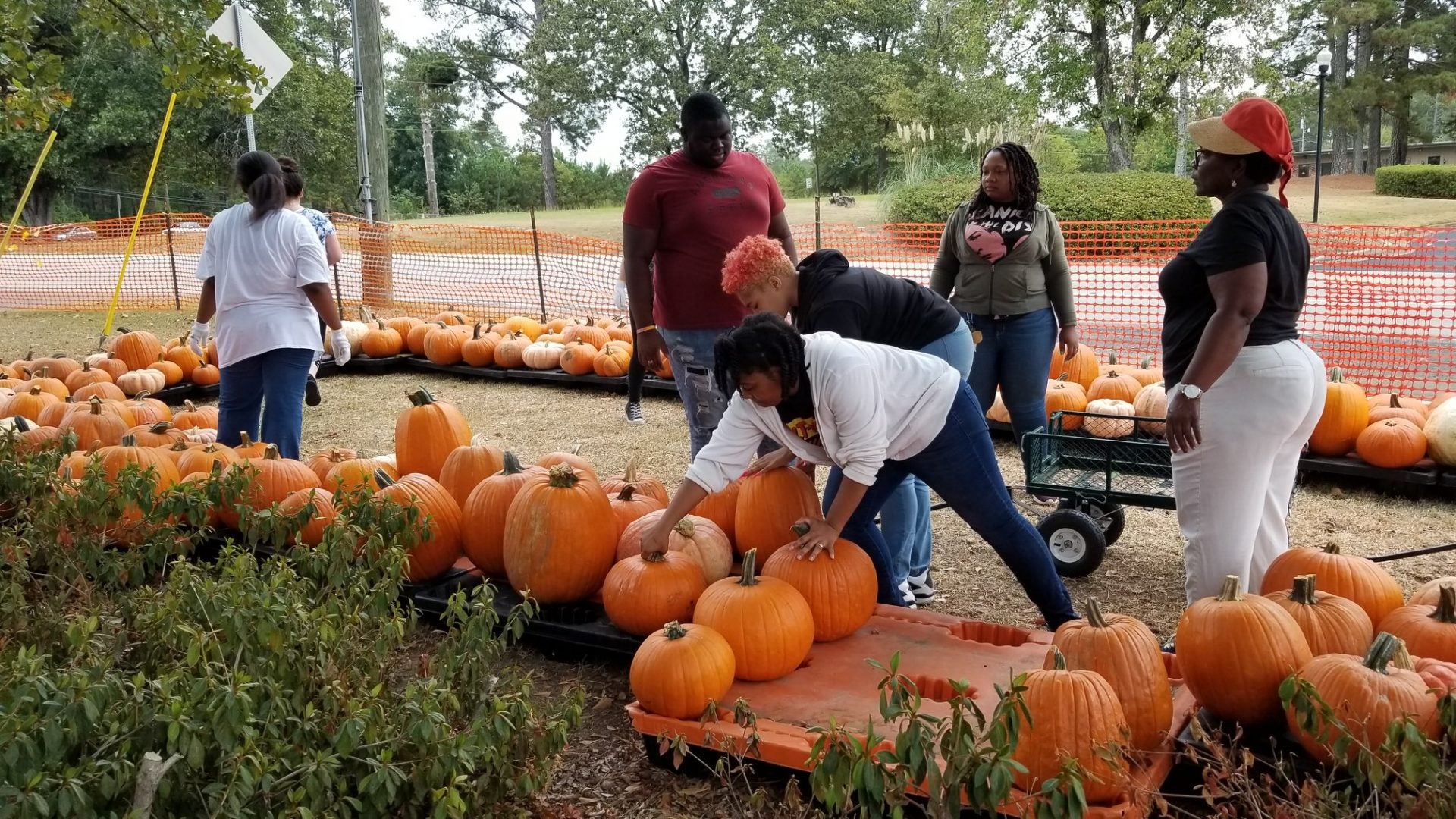 Pumpkin Patches Return to Two Local Churches - The Augusta Press