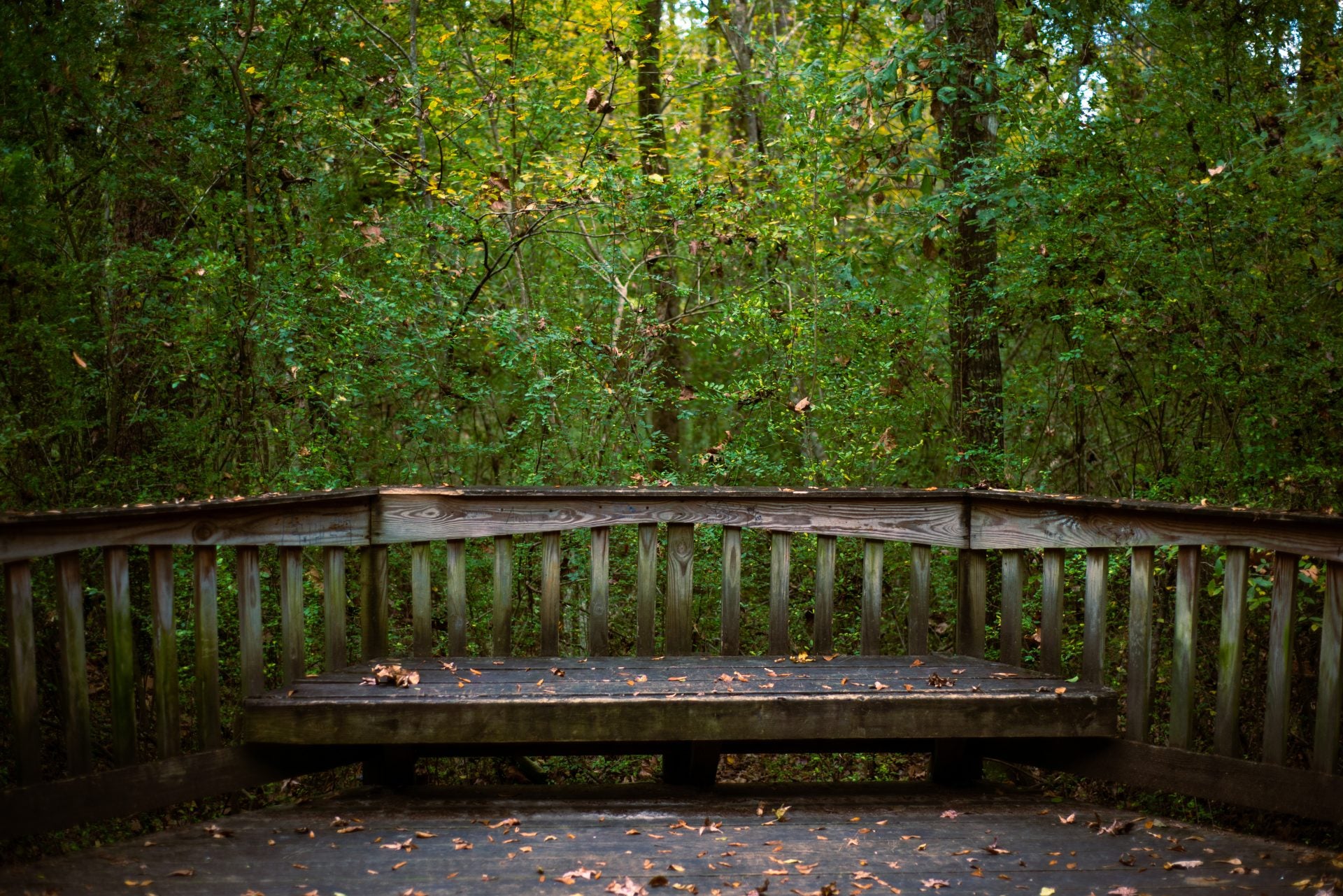 Photojournalism: Grovetown Trails Park - The Augusta Press