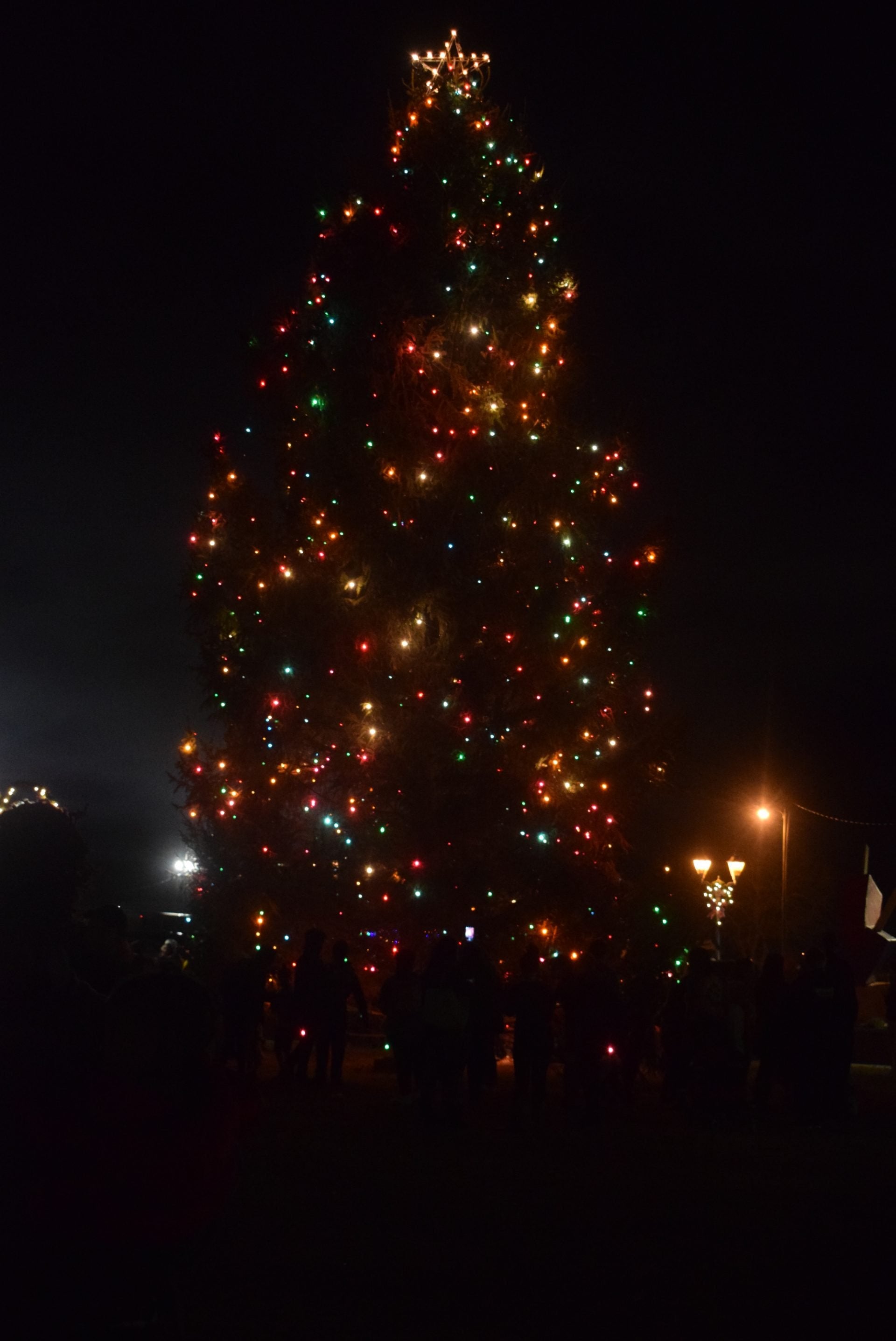 Photojournalism: Augusta Tree Lighting - The Augusta Press