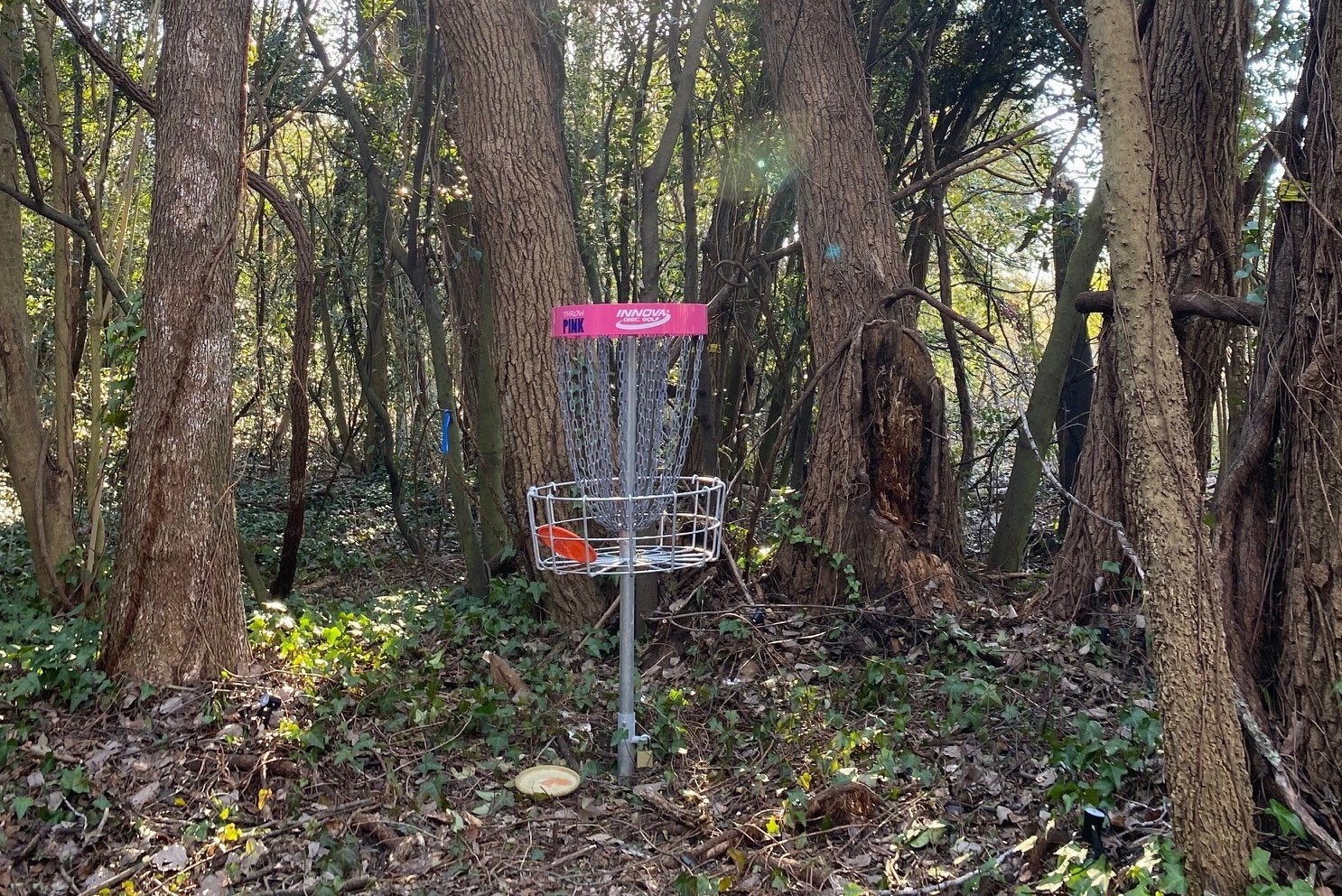 Augusta’s new disc golf course on the river is ready for play - The ...