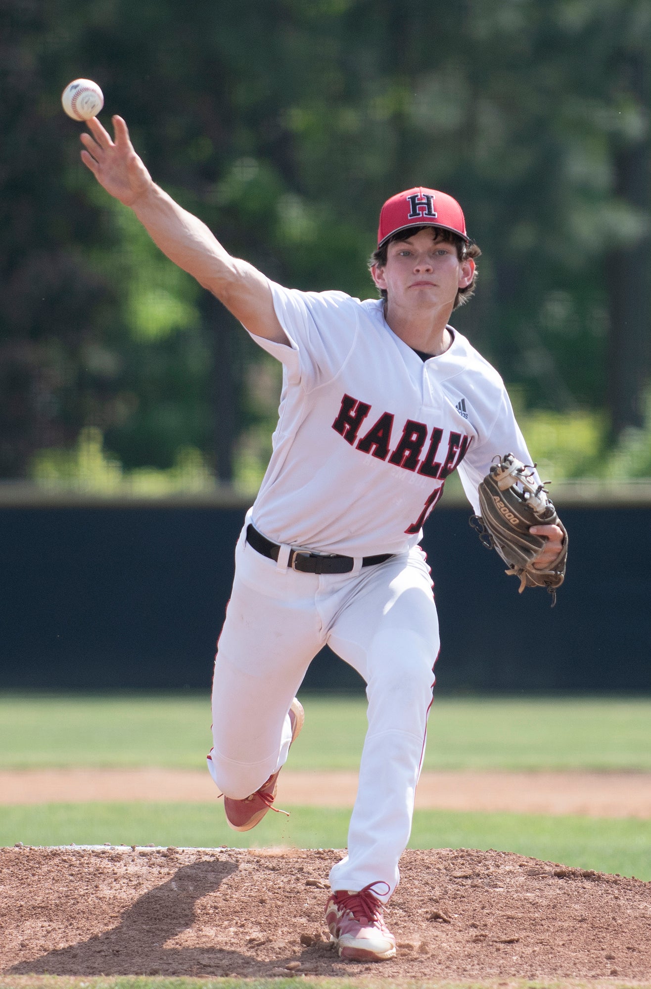 Harlem sweeps double header from Crisp County in baseball playoffs ...