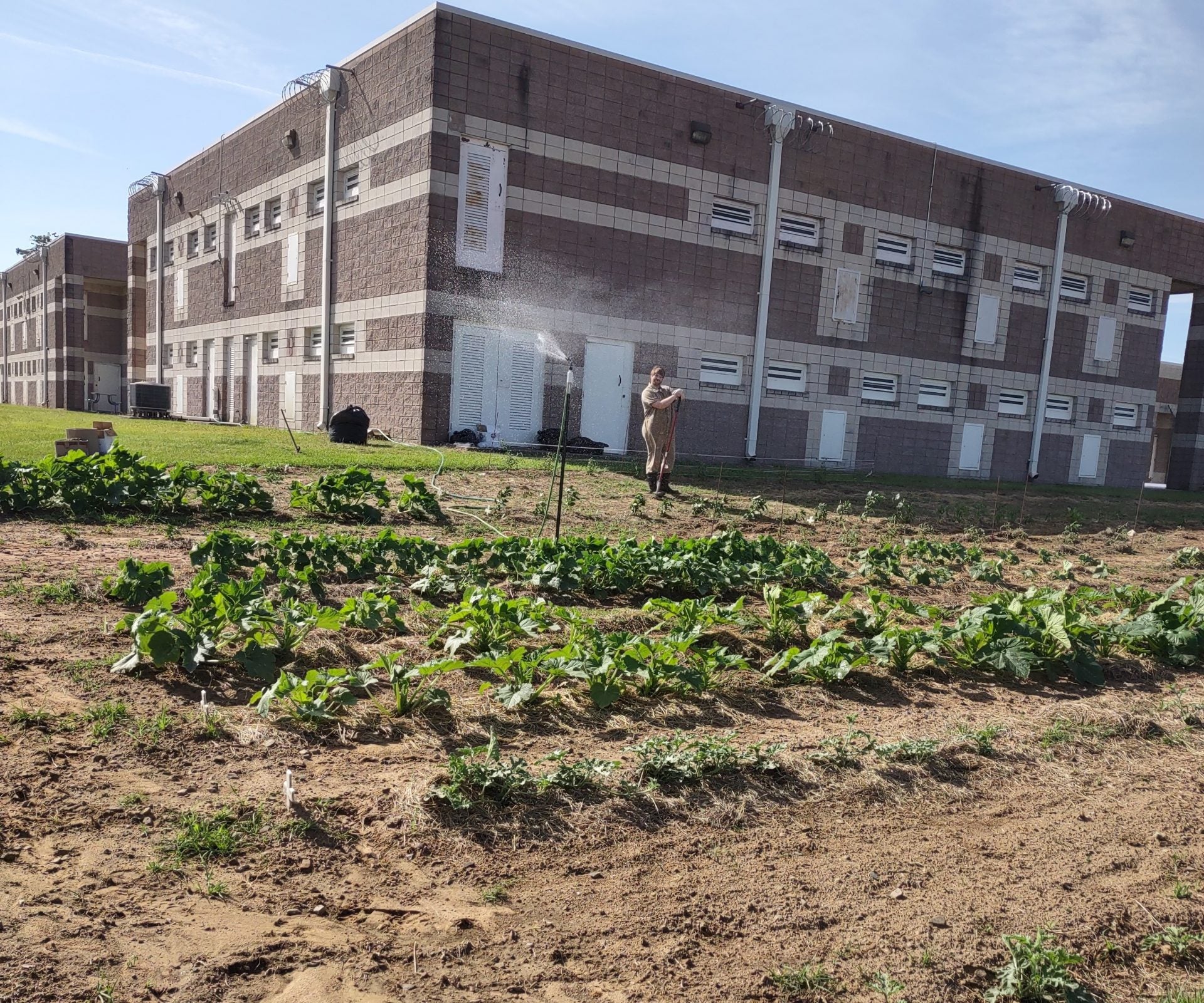 Jail garden project teaches life lessons and career building skills ...