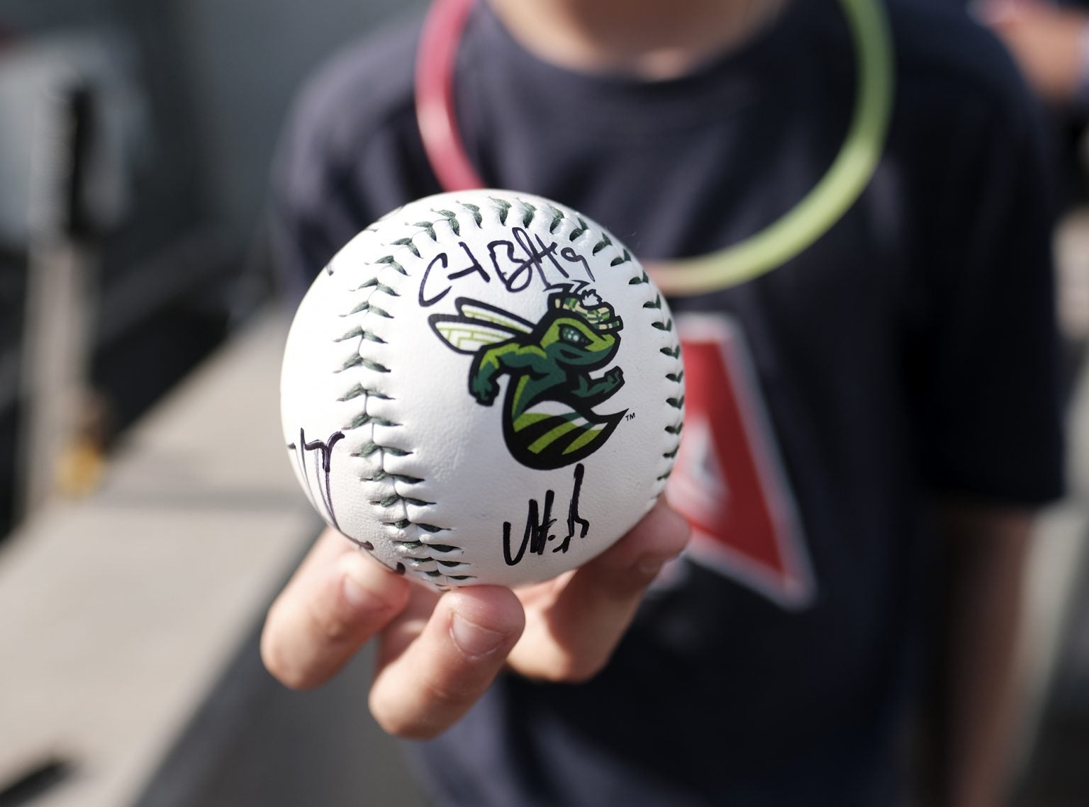 GreenJackets announce homestand June 3-8 with River Donkeys on-field ...