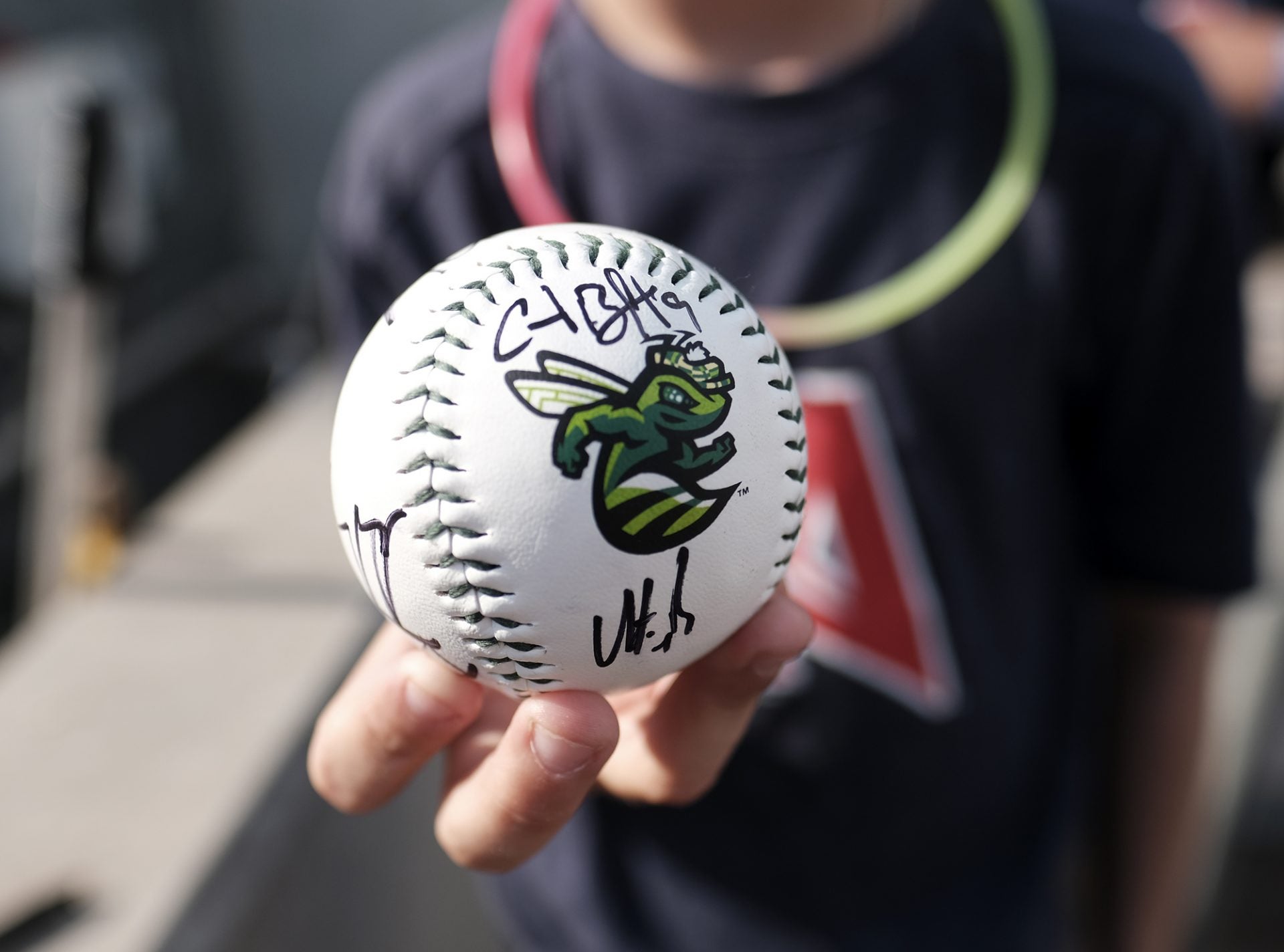 GreenJackets announce homestand June 3-8 with River Donkeys on-field ...