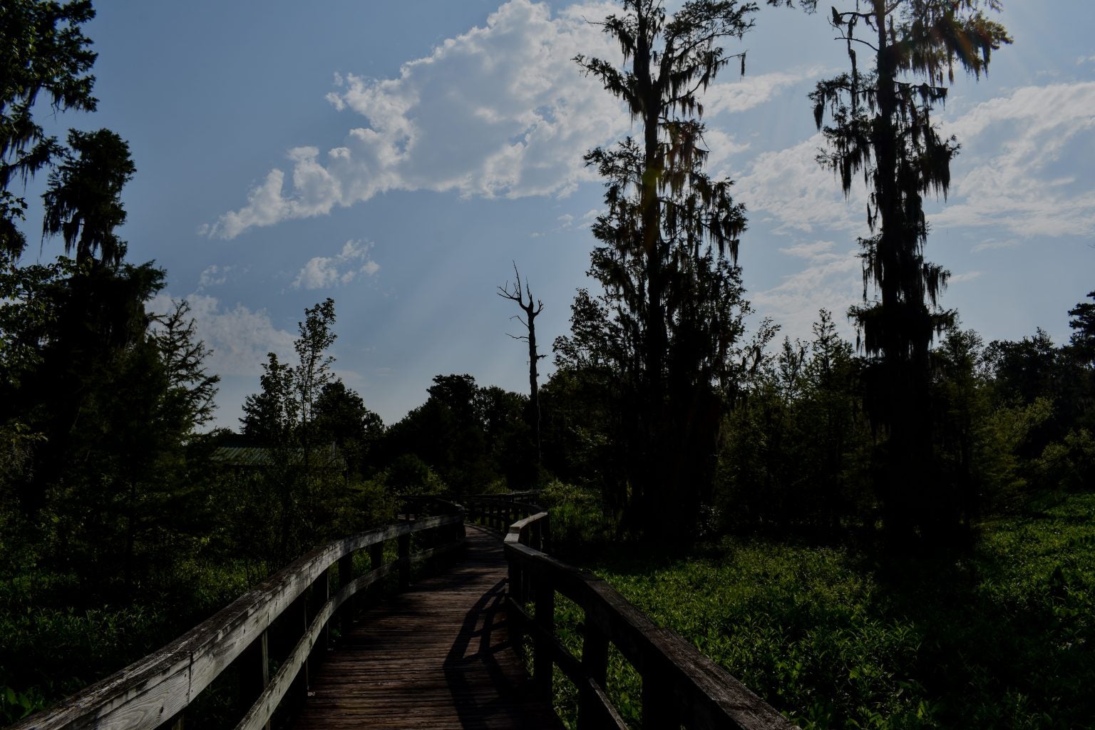 Something you may not have known: The stinky story of Phinizy Swamp ...