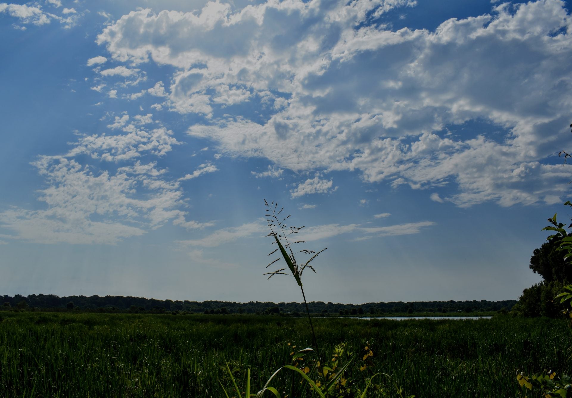 Photojournalism: Phinizy Swamp Nature Park - The Augusta Press