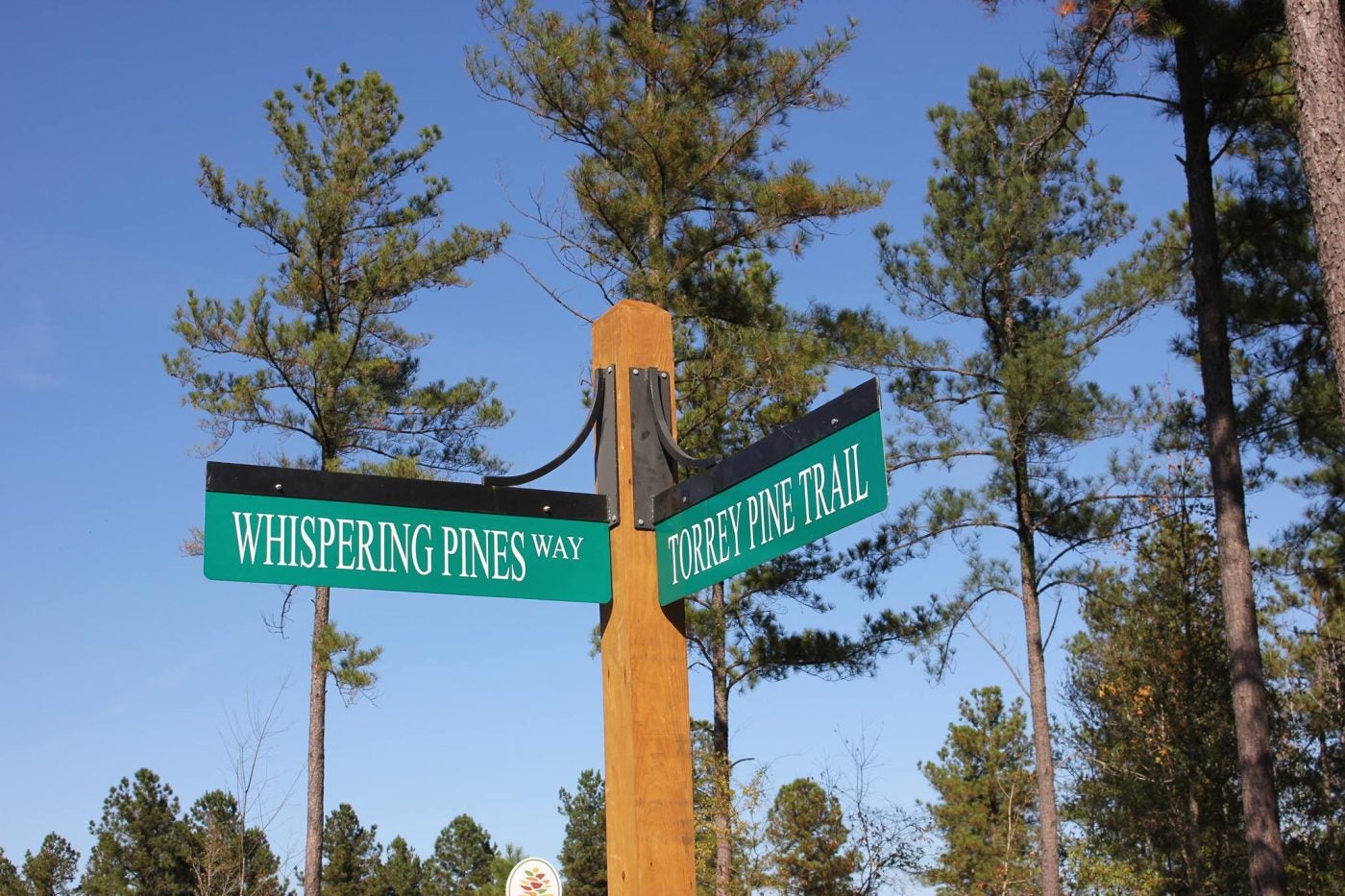 Developer submits final phase of Whispering Pines subdivision - The ...