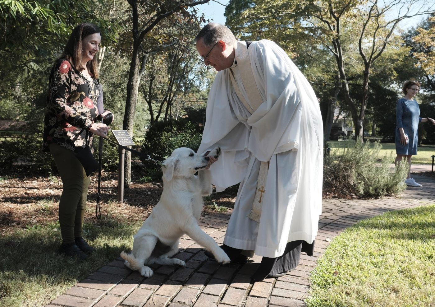 Photojournalism: Blessing of the Beasts - The Augusta Press