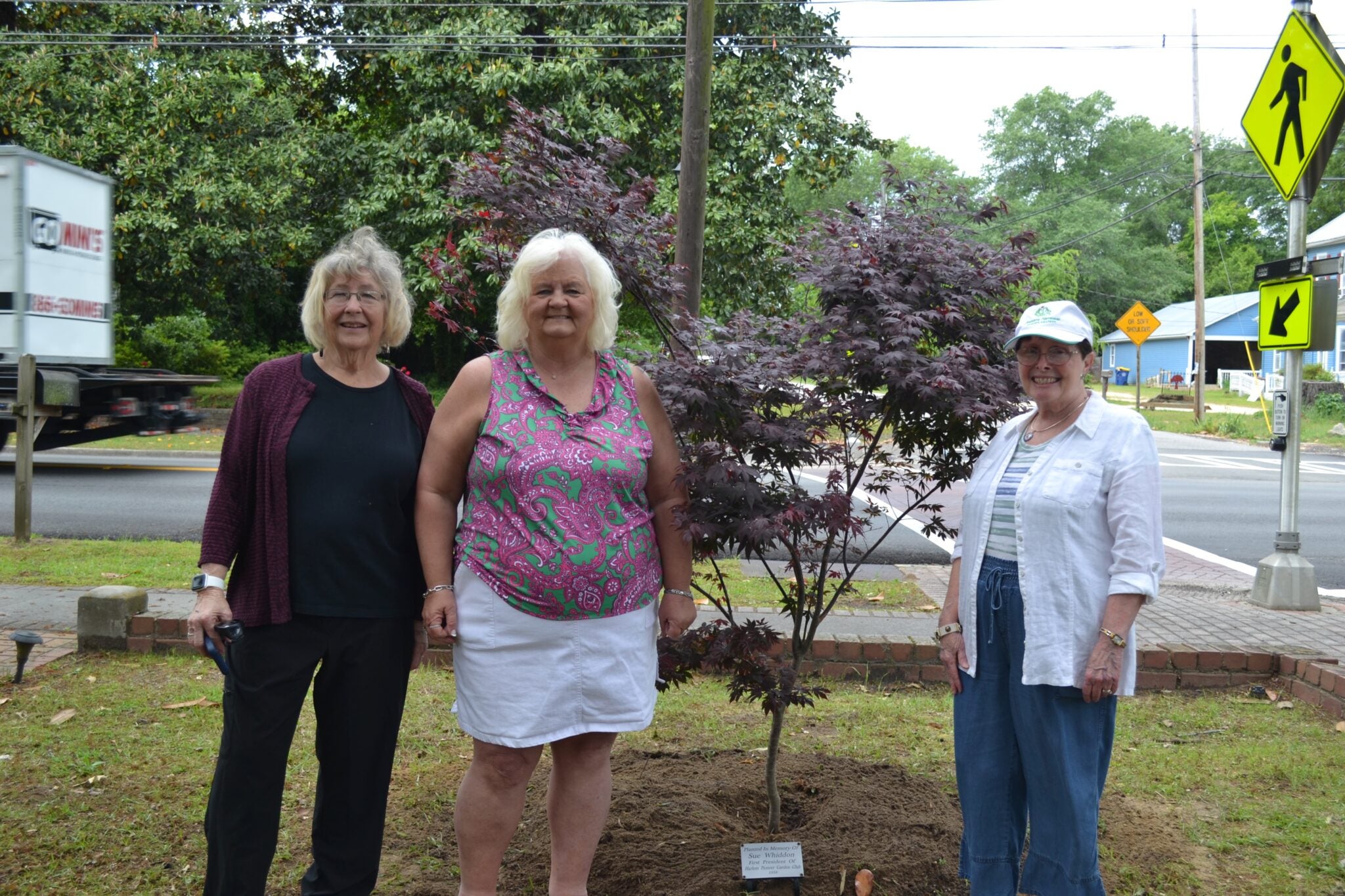 City of Harlem plants Japanese Maple tree in honor of Sue Whiddon on ...