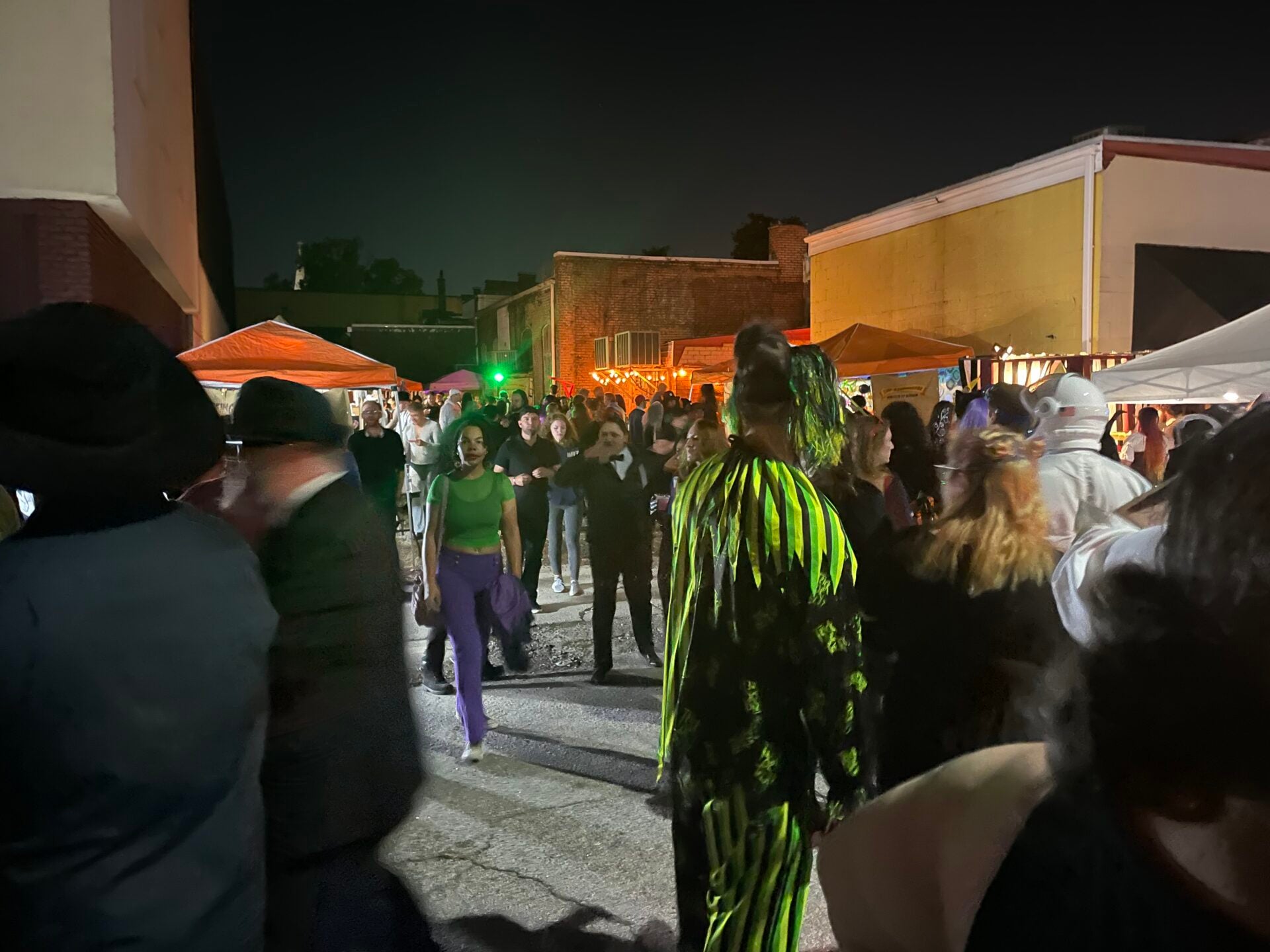Le Chat Noir's 16th annual Black Cat Festival draws a huge crowd of ...