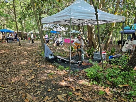 Back to Nature Garden Center to host second annual Fall Craft & Artisan ...