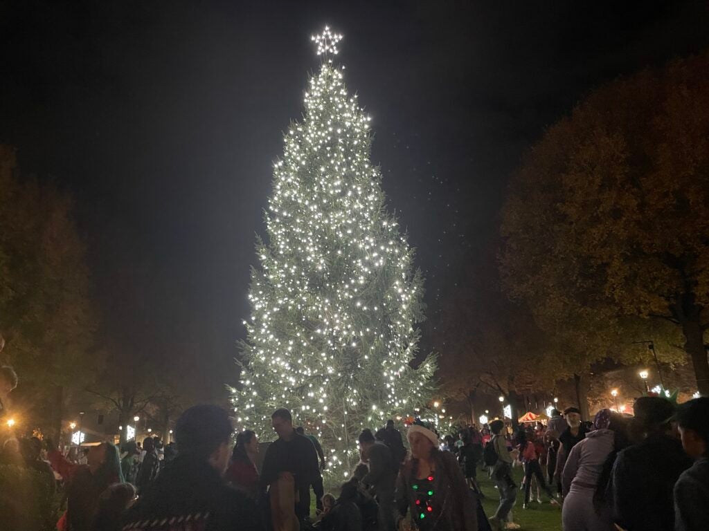 Calendar of events: Holiday markets, Christmas parades and more - The ...