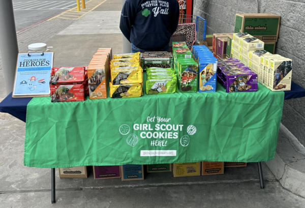 Girl Scouts targeted in theft by conversion scandal in Columbia County ...