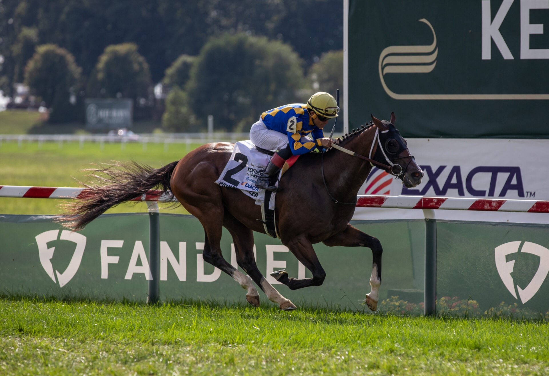 Horse wins back to back Horse of the Year award - The Augusta Press