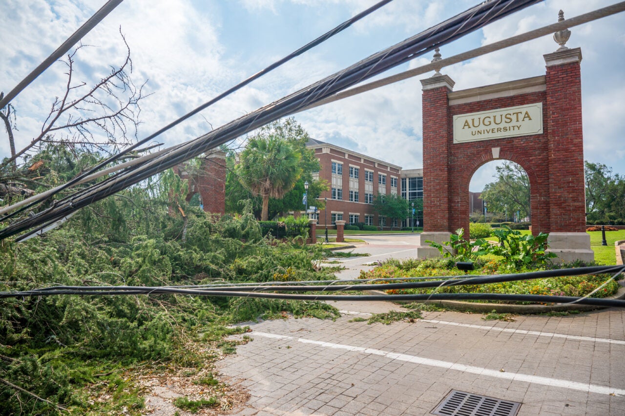 Helene has wiped out hundreds of trees at Augusta University - The ...
