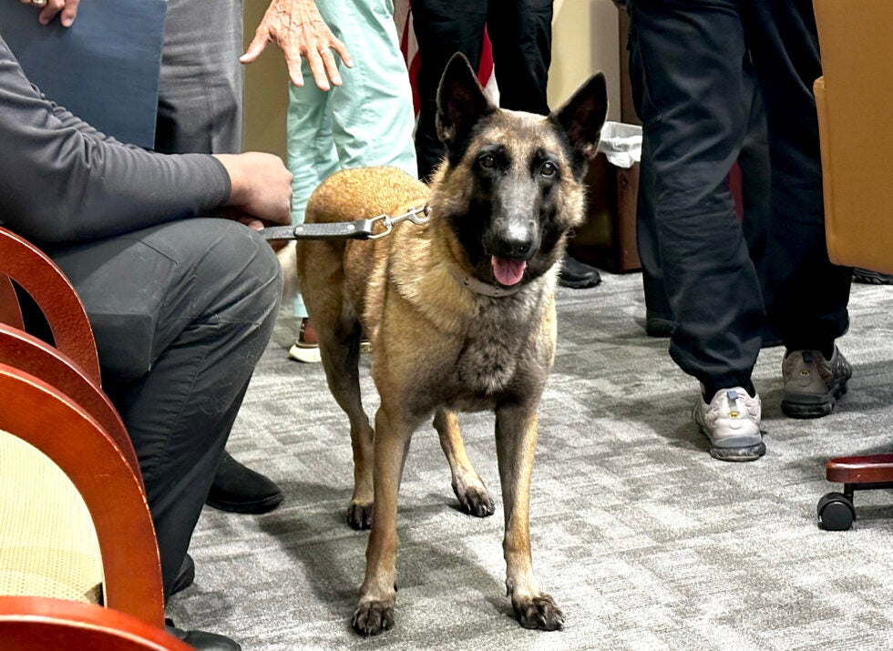 Sheriff expands K9 program with donation - The Augusta Press
