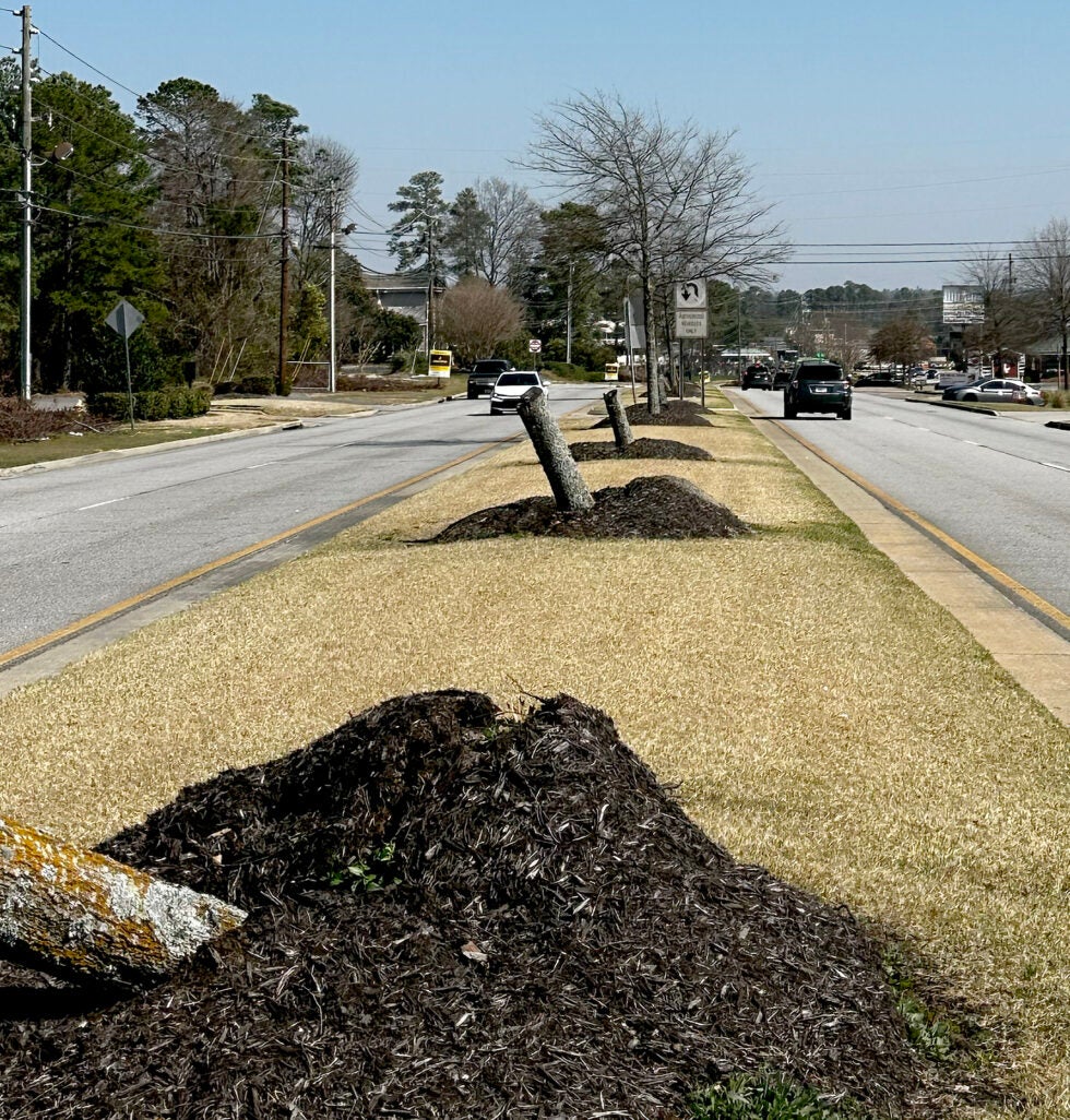 Partnership to address Wheeler gateway