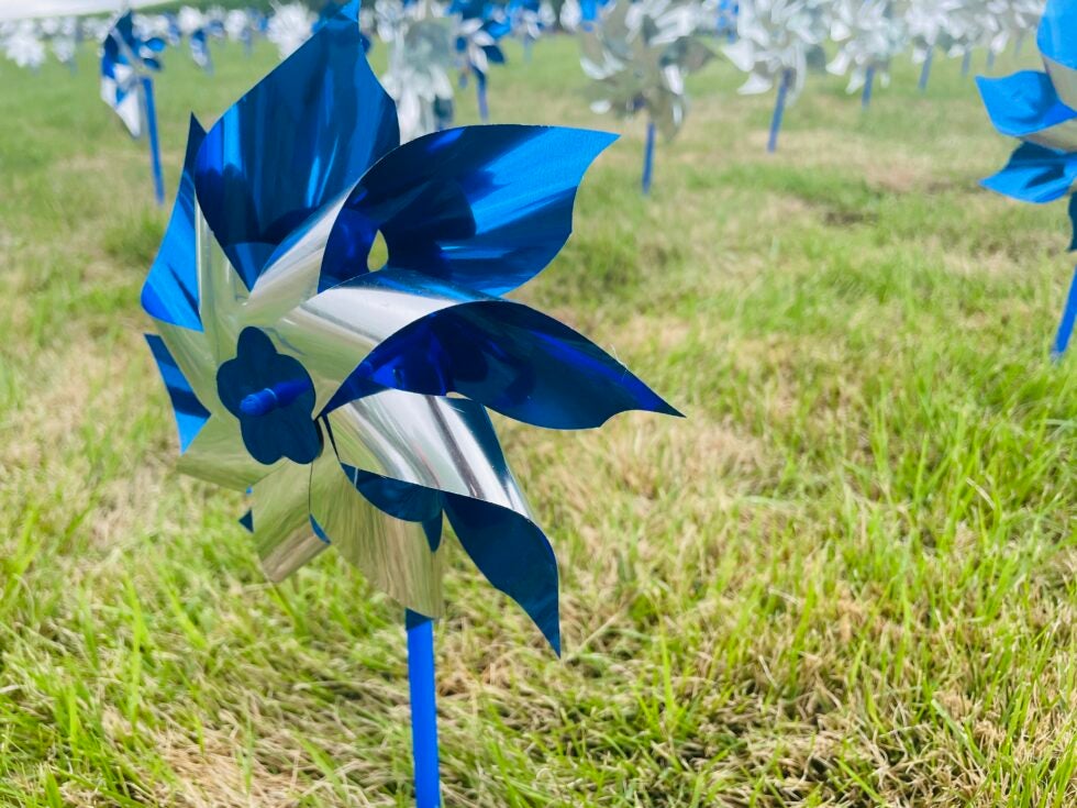 Pinwheel display installed to raise awareness of child abuse - The ...