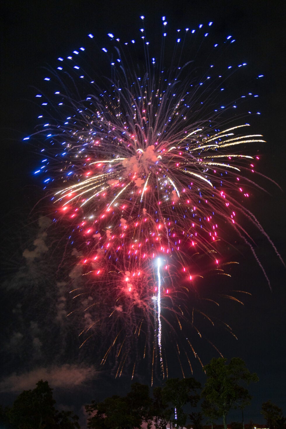 Photostory: Fort Gordon holds Independence Day celebration - The ...