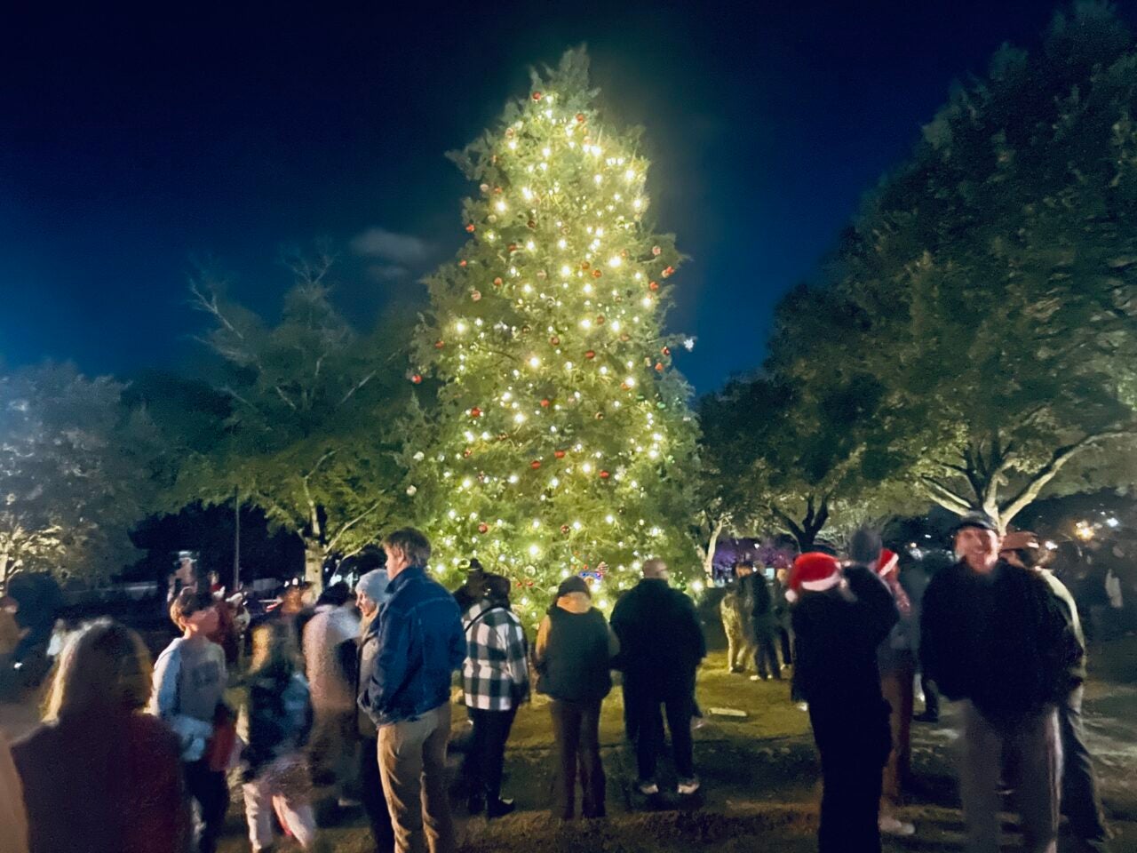 Photostory: North Augusta's Christmas tree lighting and Cocoa & Cookie ...