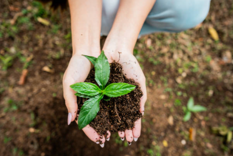 Columbia County Conservation District accepting entries for poster ...