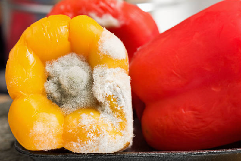 Moldy peppers found amongst this week’s lowest health scores - The ...