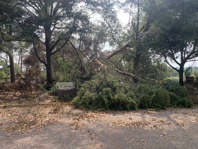 Azalea Walk restoration to begin after Hurricane Helene damage - The ...