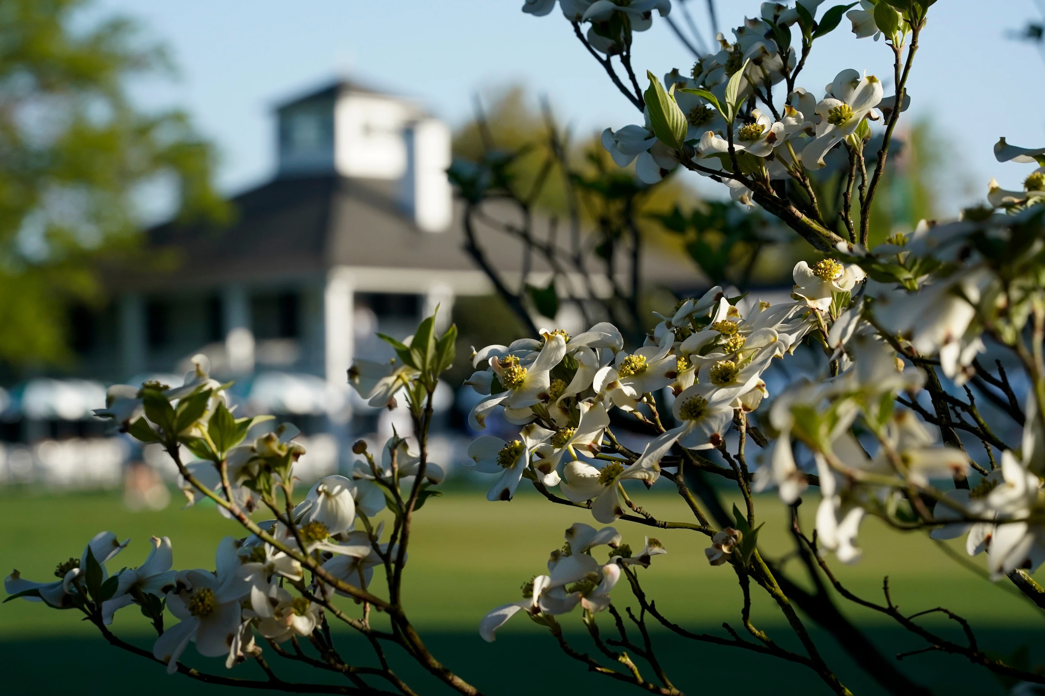 Masters offers a locker room unlike any other with first photos of new ...