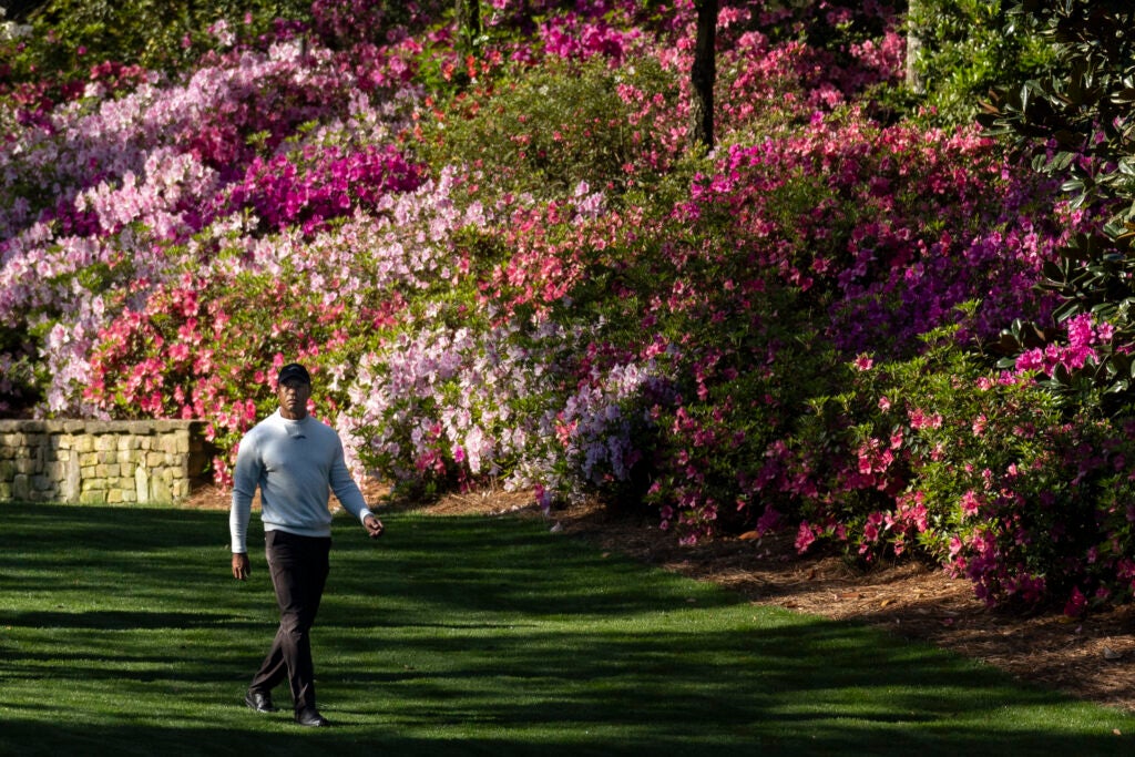 Augusta National’s 18 holes bloom with history, each named for a flower ...
