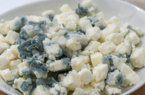 Moldy food and rusty kitchen equipment color this week's health ...