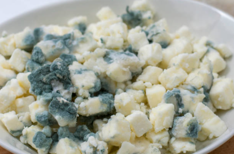 Moldy food and rusty kitchen equipment color this week's health ...